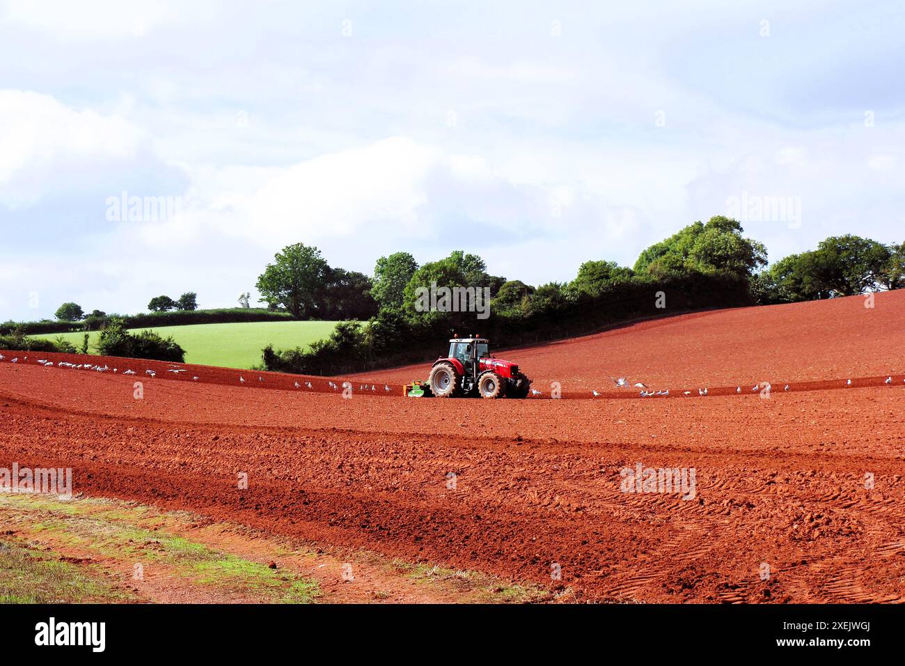 Tractor working on farm field hi-res stock photography and images - Alamy