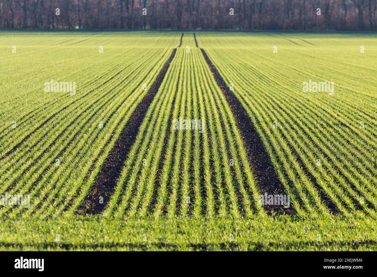Agricultural farming field hi-res stock photography and images - Alamy
