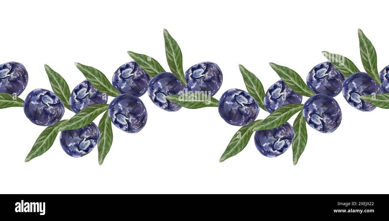 Blueberries seamless border. Berries and leaves. Hand drawn watercolor ...