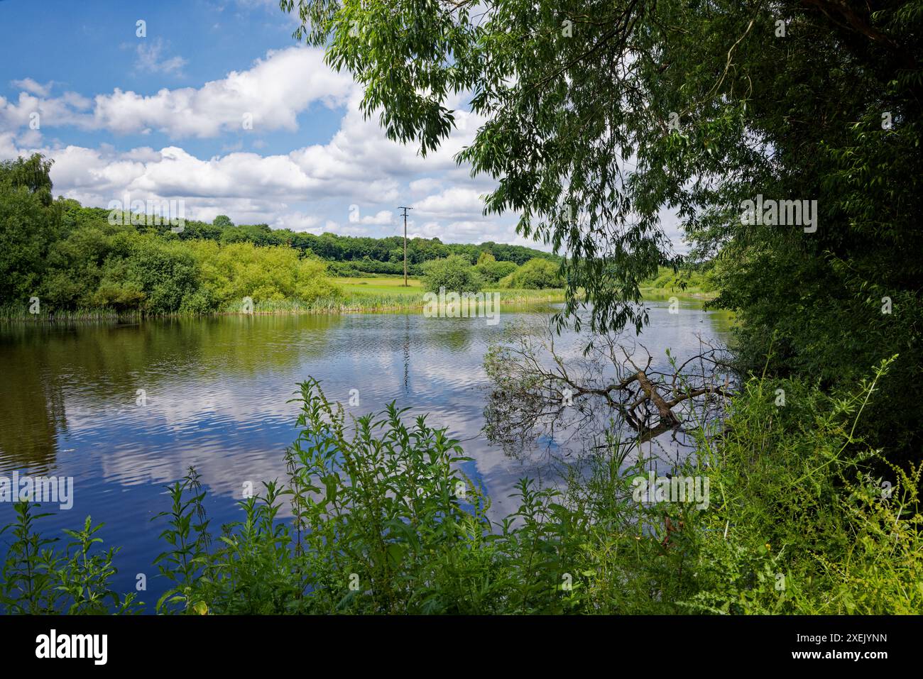 Sprotbrough flash nature reserve hi-res stock photography and images ...