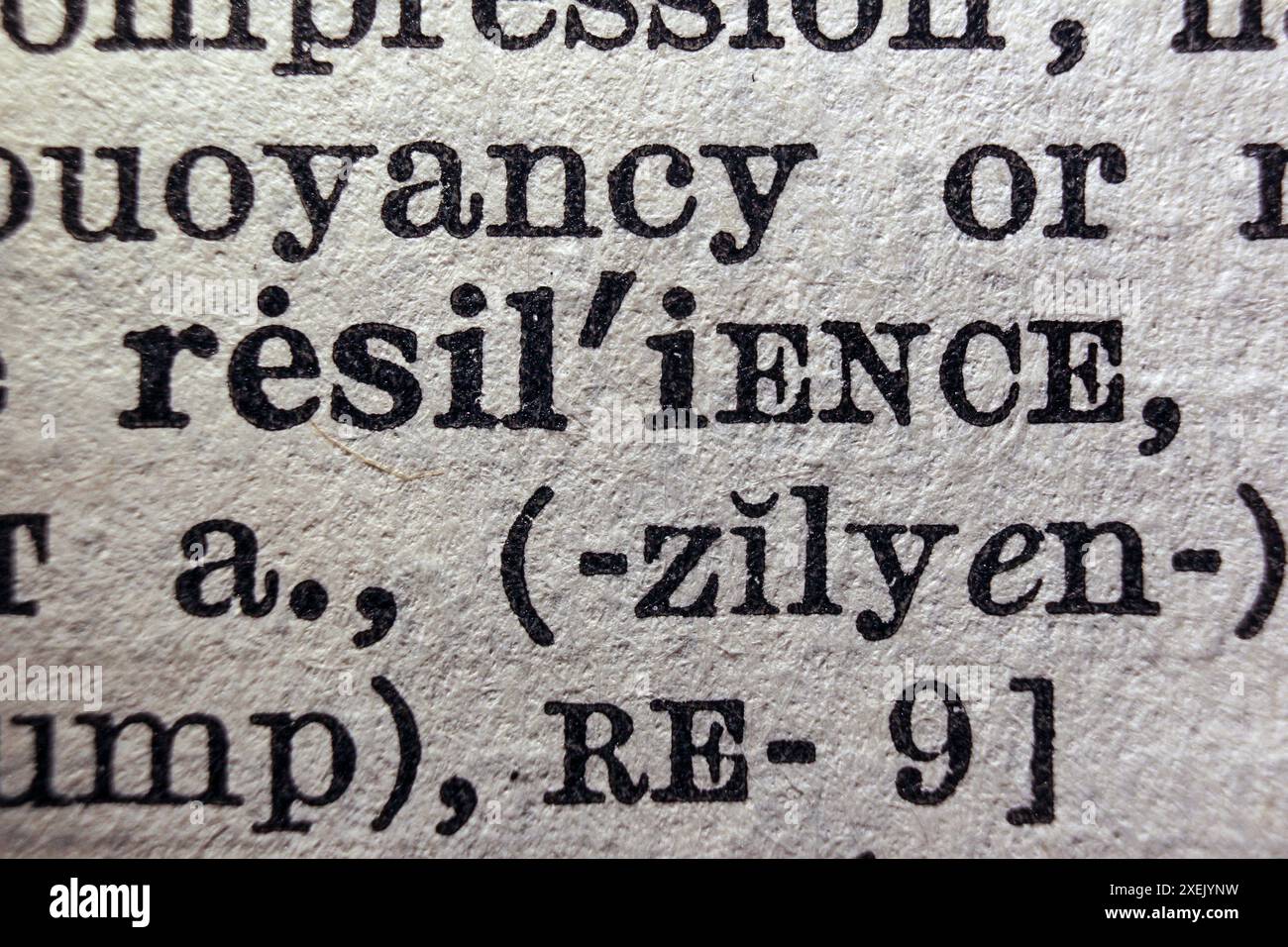 Resilience and fortitude hi-res stock photography and images - Alamy