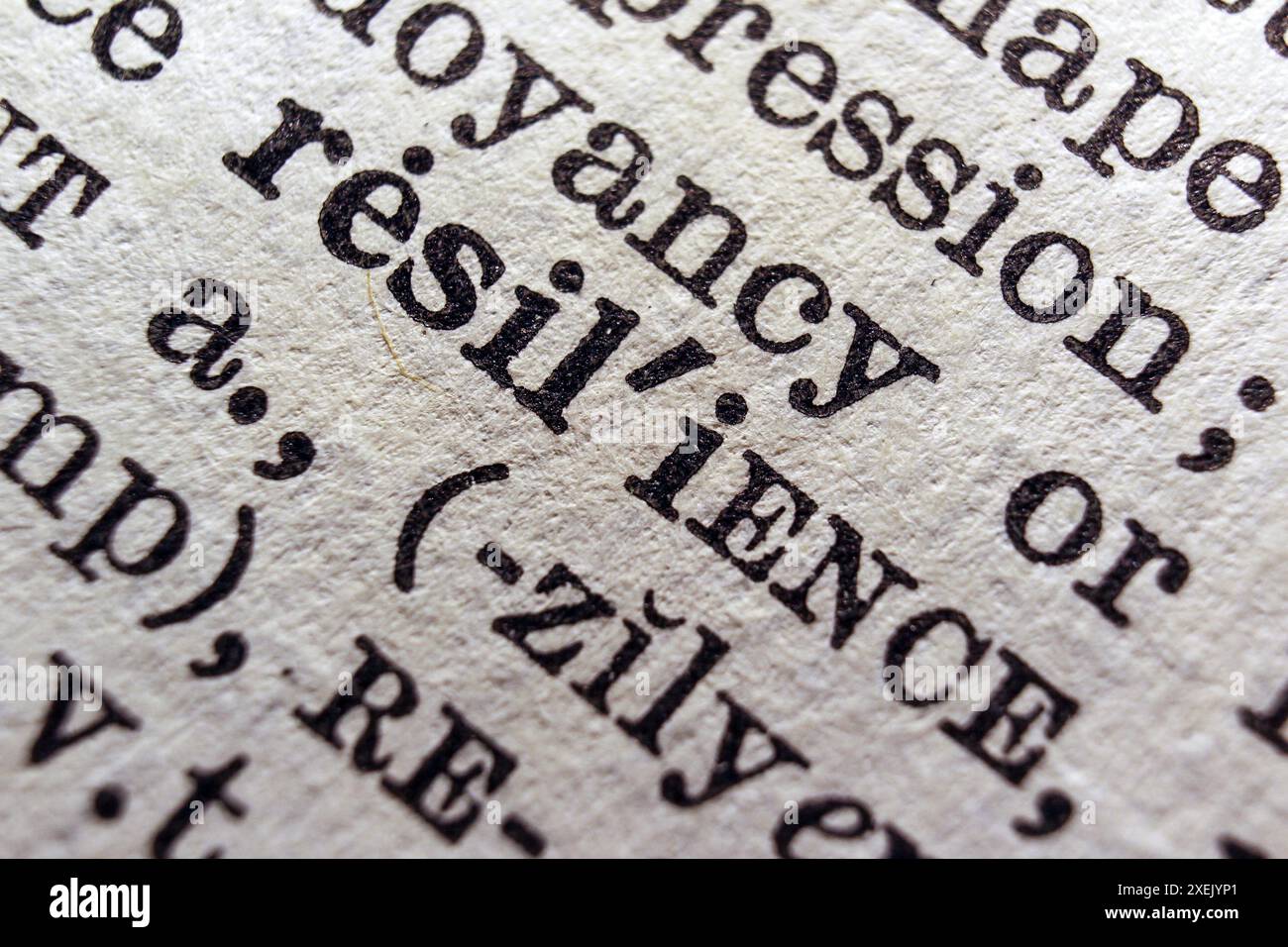 Resilience and fortitude hi-res stock photography and images - Alamy