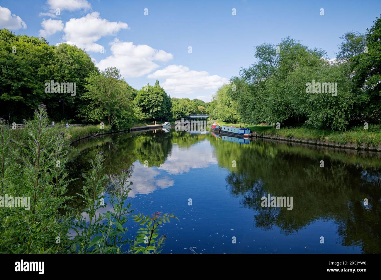 Sprotbrough countryside hi-res stock photography and images - Alamy