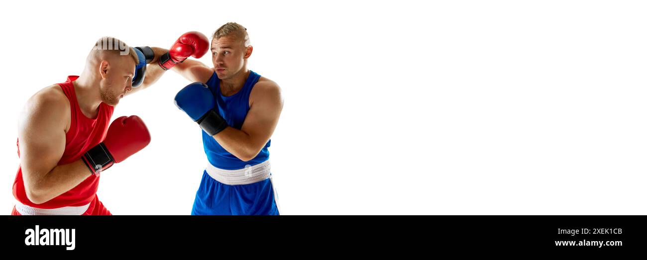 Banner. Two combat sports athletes fighting in motion against white ...
