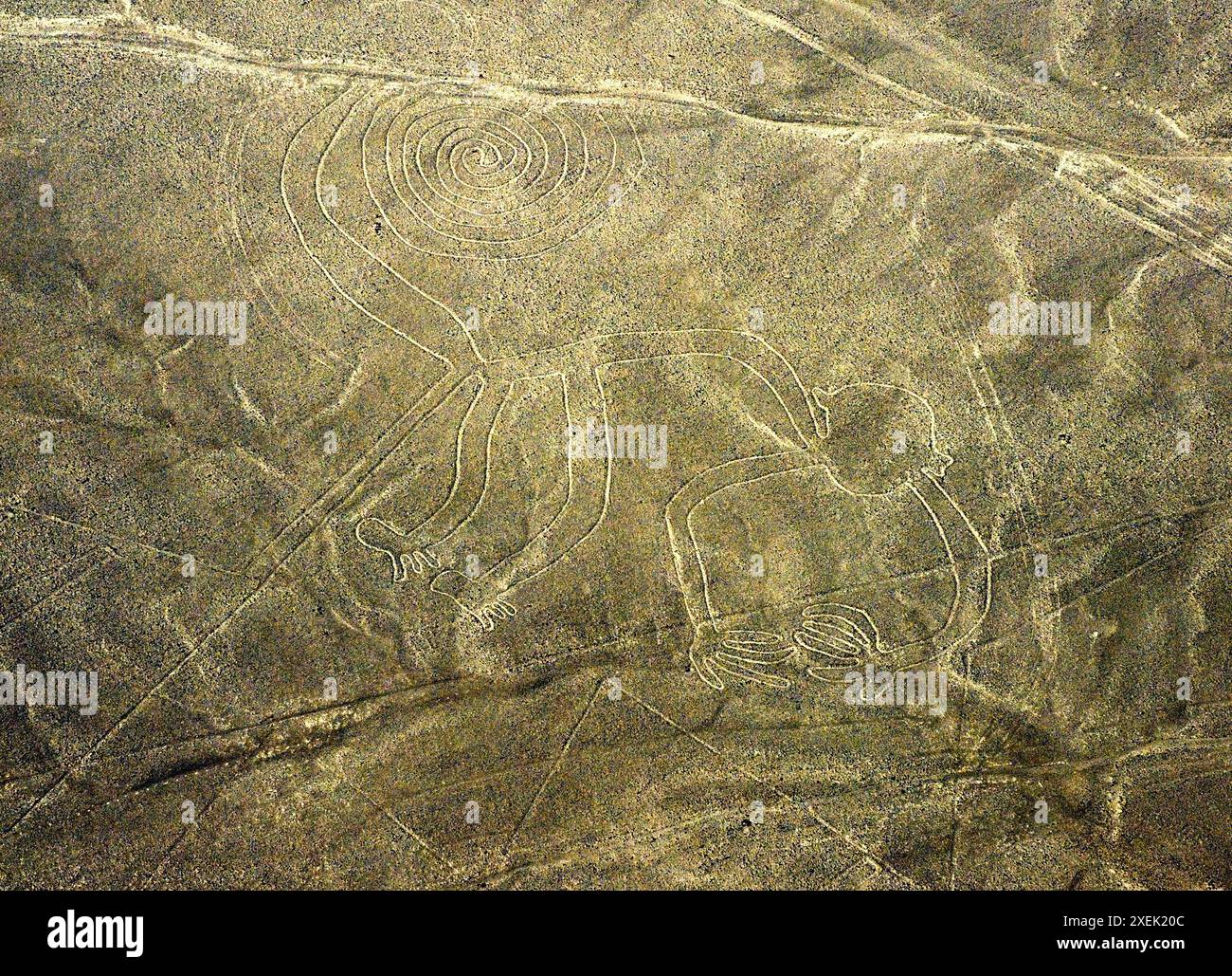Peru, Southern Coast, Nazca, Nazca Lines geoglyphs, The Monkey Stock ...