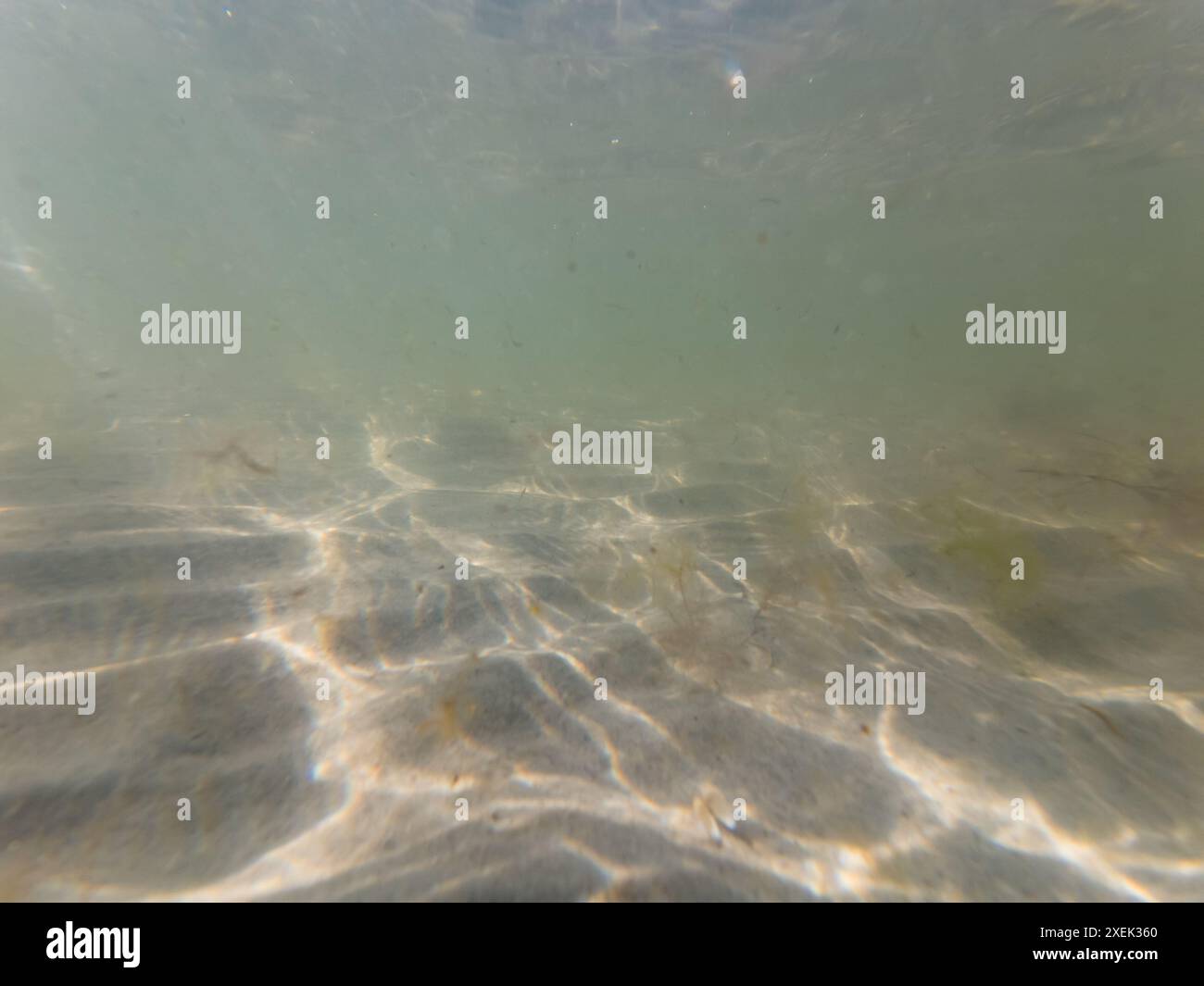 Underwater photo in the Baltic Sea with a sandy bottom on the shallows ...