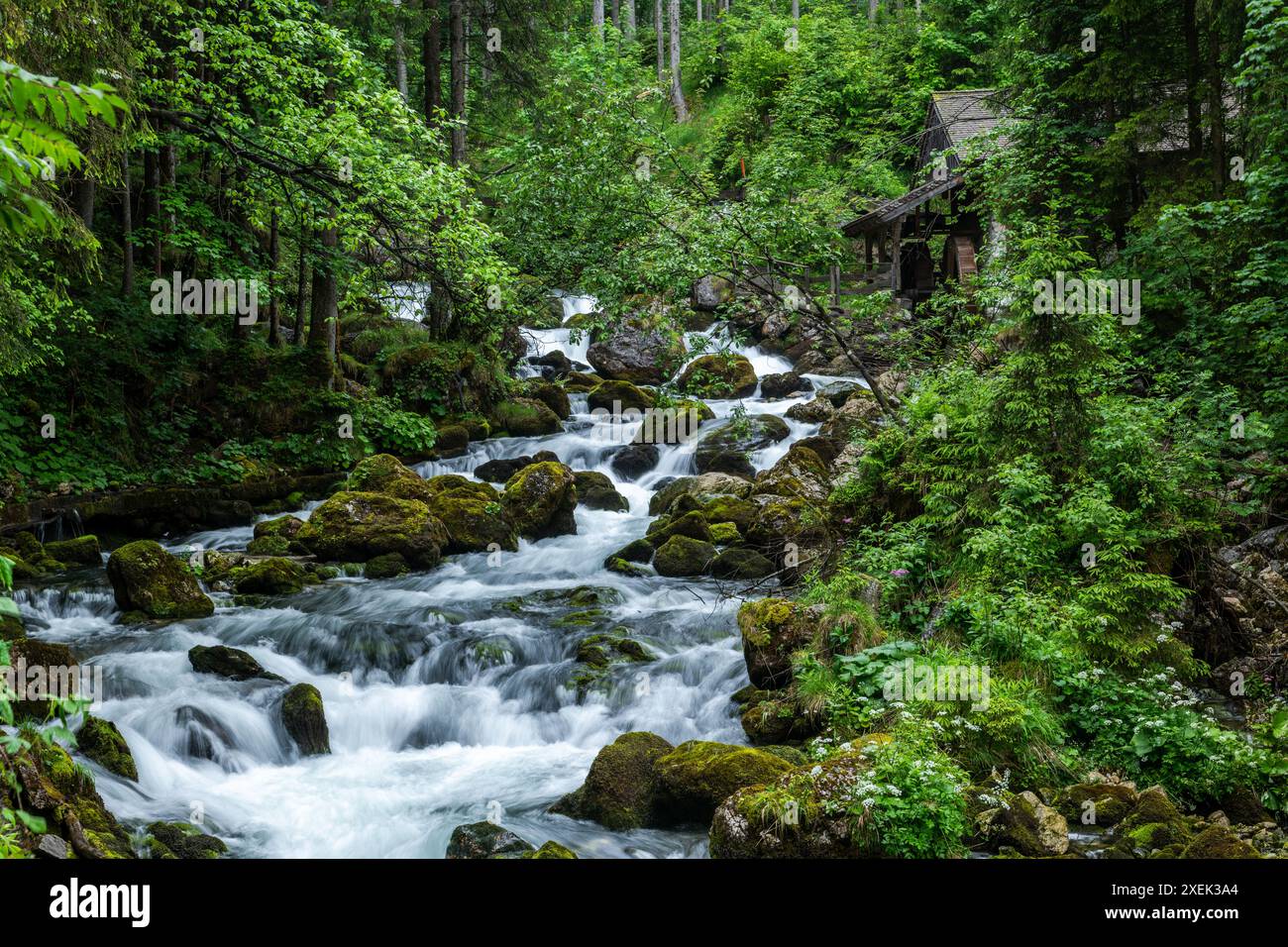 The Beauty of Gollinger Waterfall in Austria's Wilderness Stock Photo ...