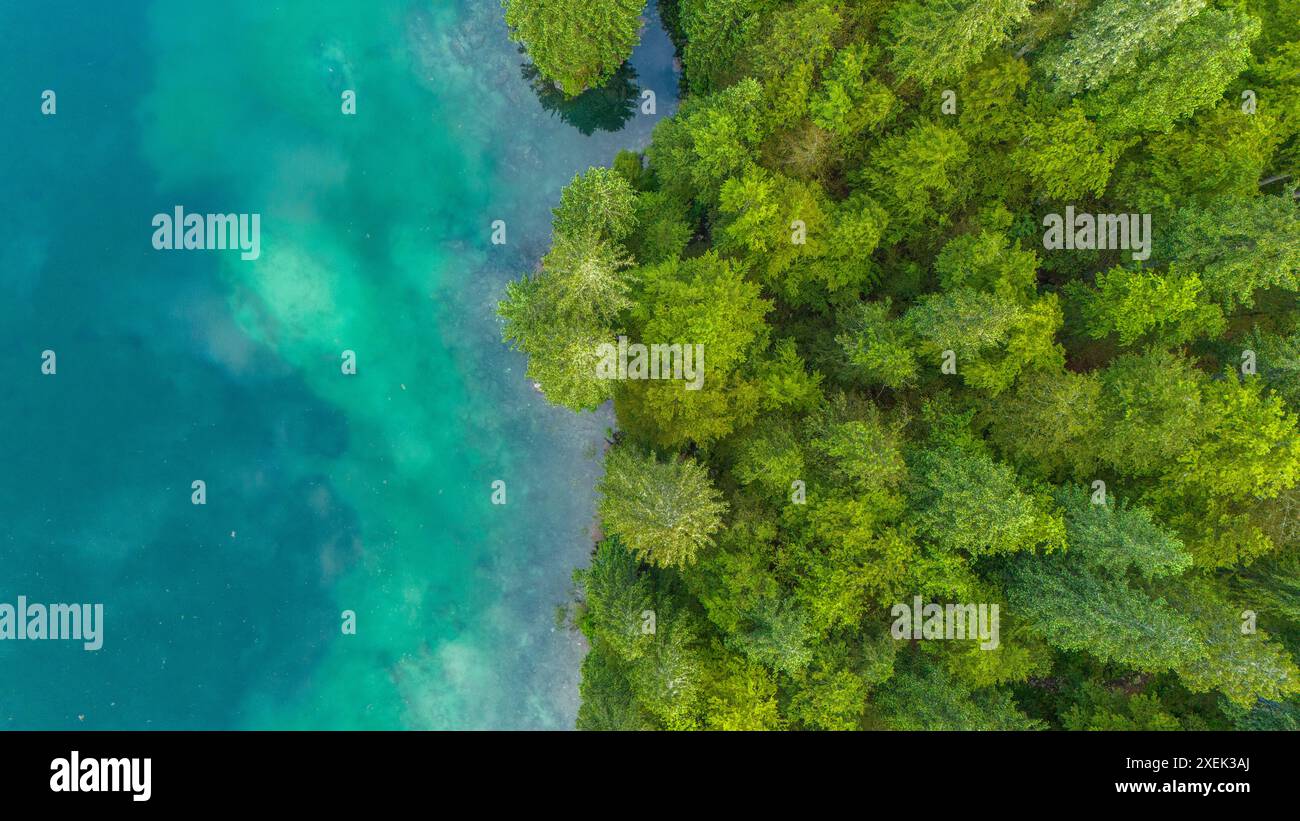 Turquoise Tranquility: Aerial View of Pine Trees Stock Photo - Alamy
