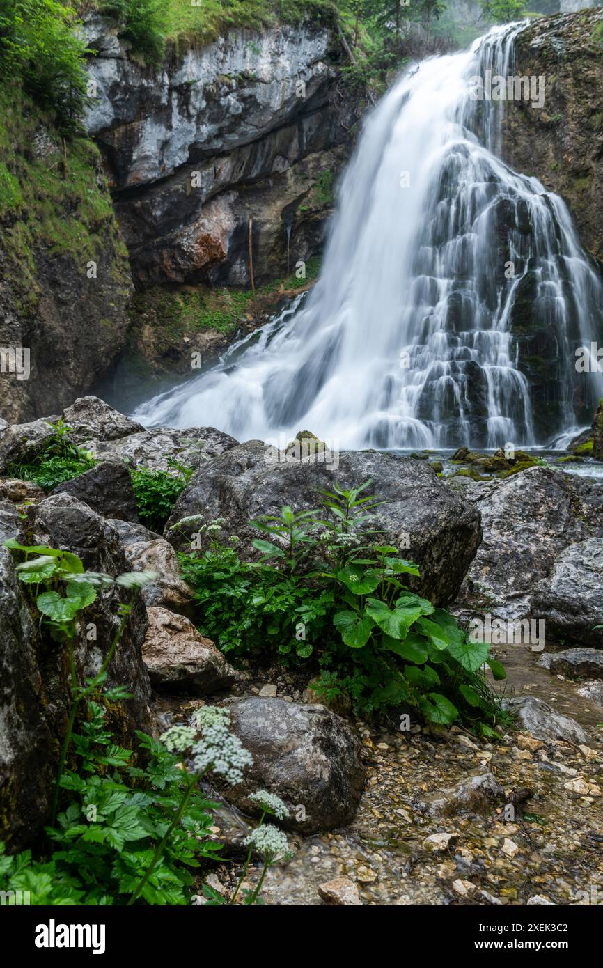 Nature's Power: The Stunning Gollinger Waterfall in Austria Stock Photo ...