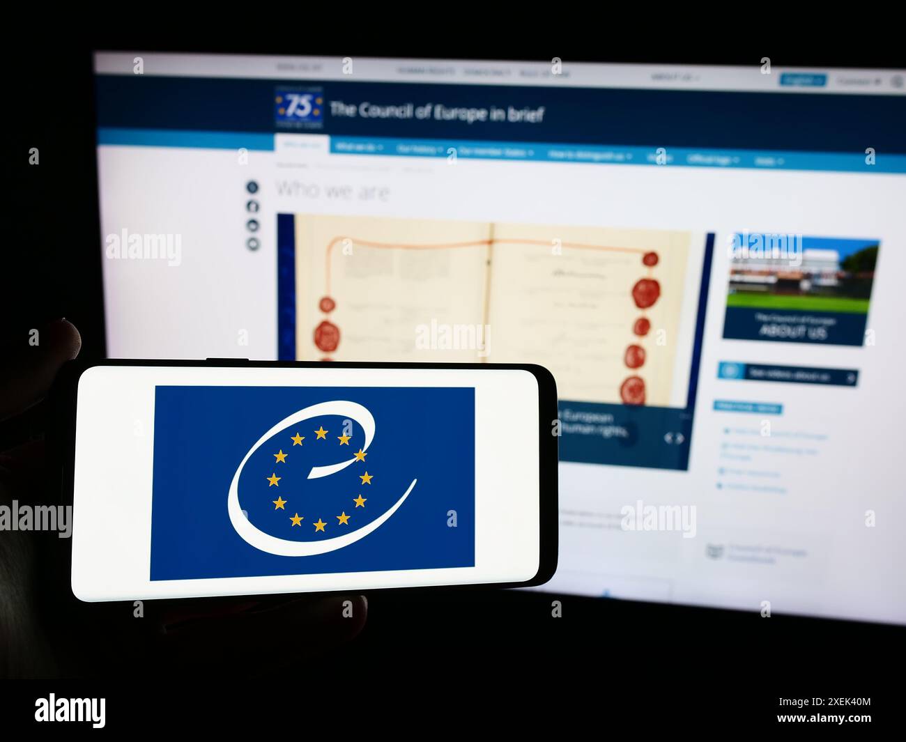 Person holding smartphone with logo of human rights organisation ...
