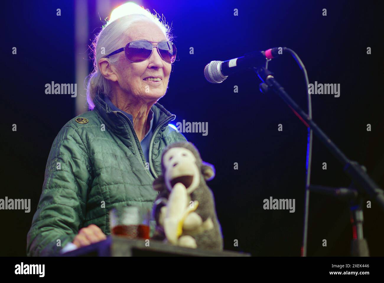 Dr Jane Goodall on the Greenpeace stage during the Glastonbury Festival ...