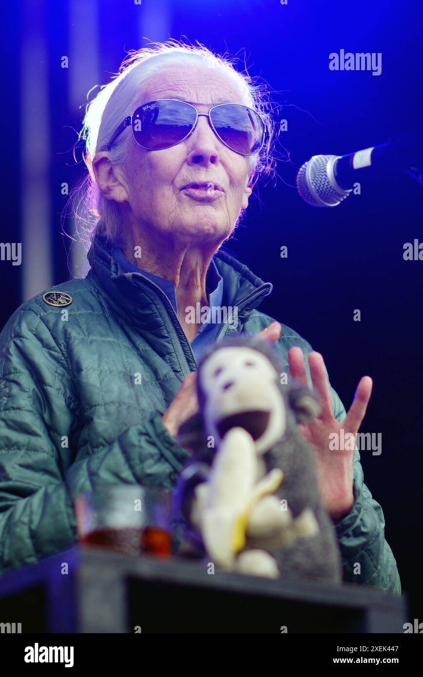 Dr Jane Goodall on the Greenpeace stage during the Glastonbury Festival ...