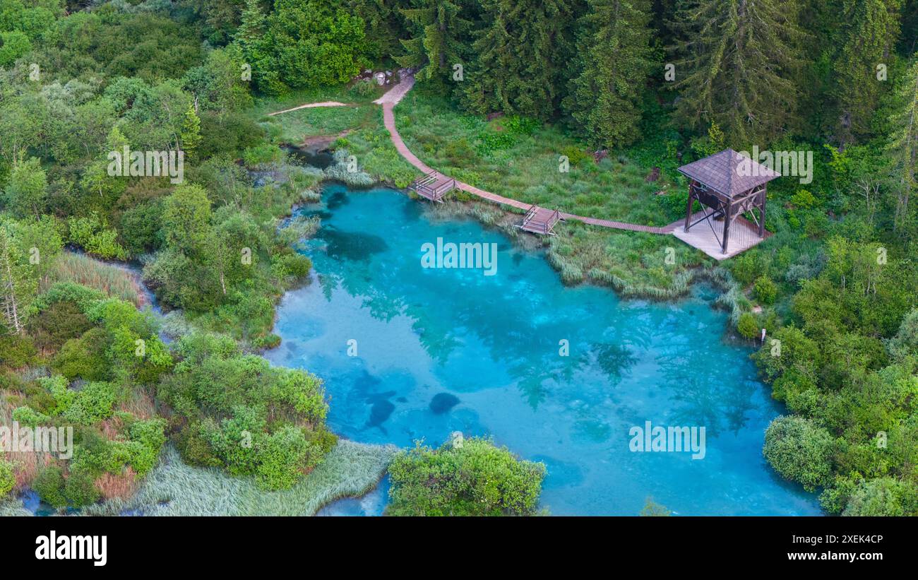 Tree drone hi-res stock photography and images - Alamy