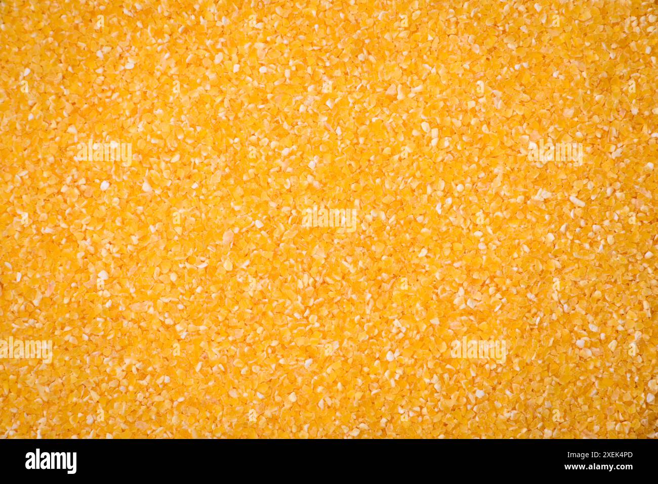 Corn grains or particles are yellow in color when raw Stock Photo - Alamy