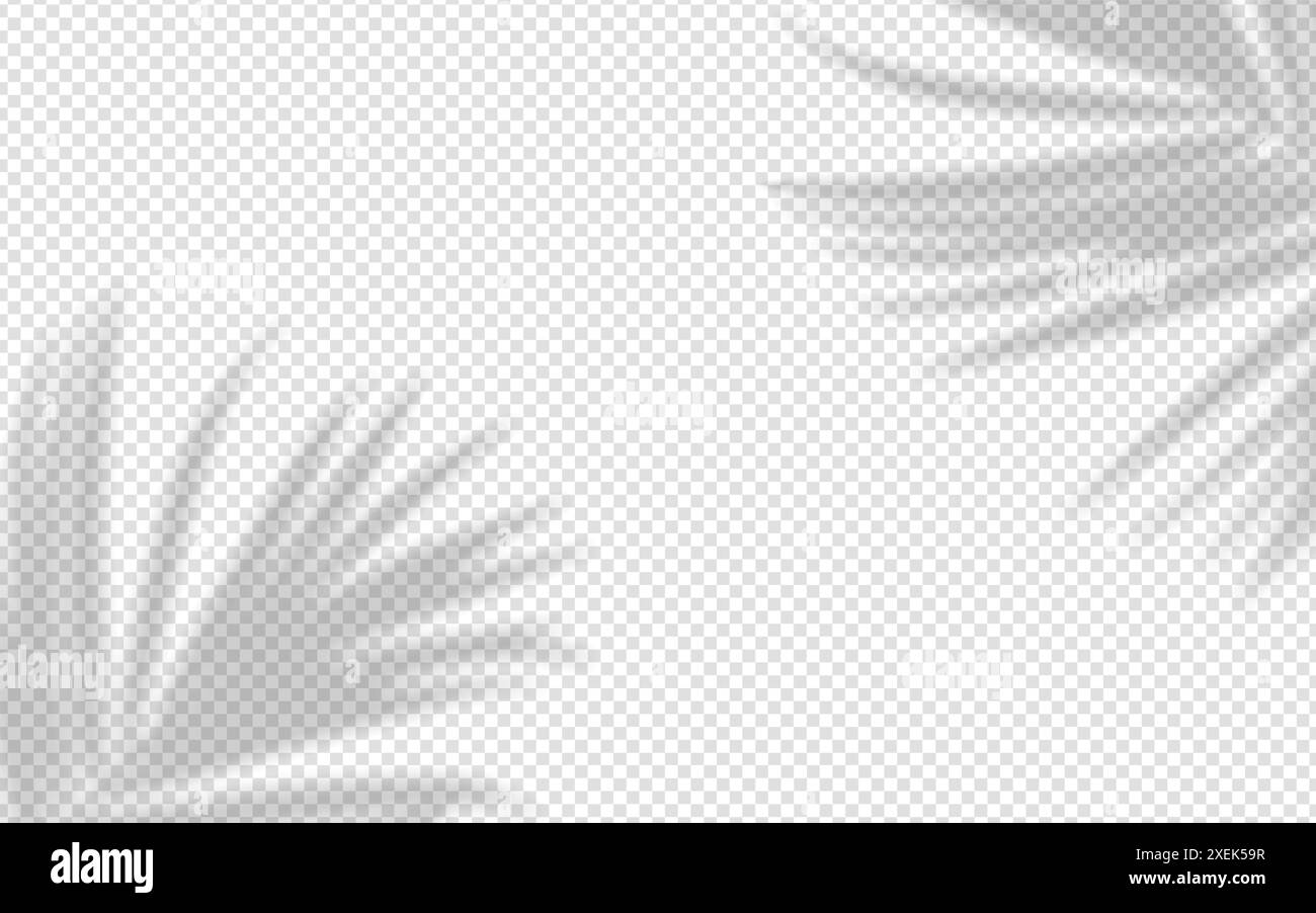 Shadow overlay from a palm tree branch isolated on a transparent ...
