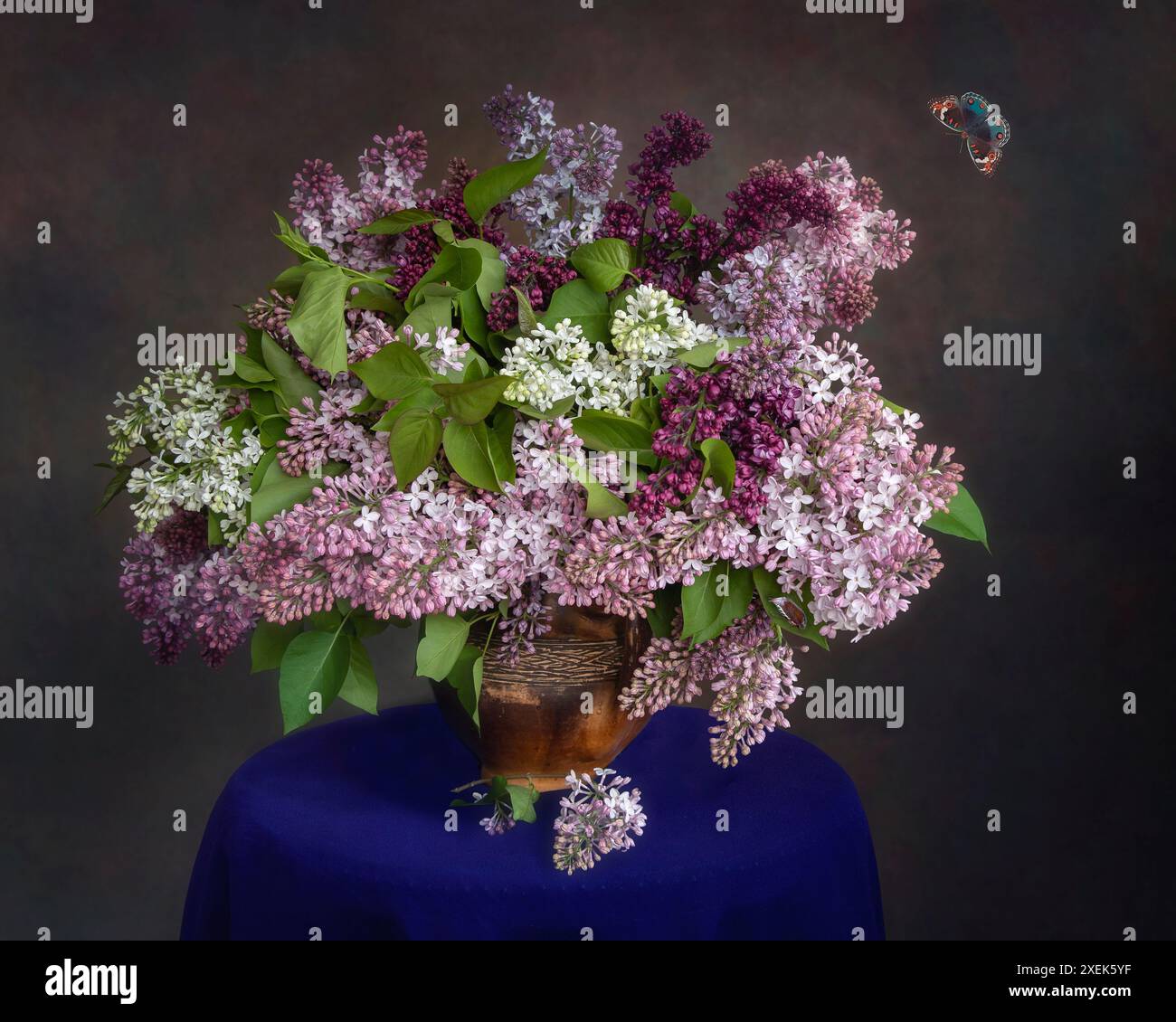 Classic flower photography hi-res stock photography and images - Alamy