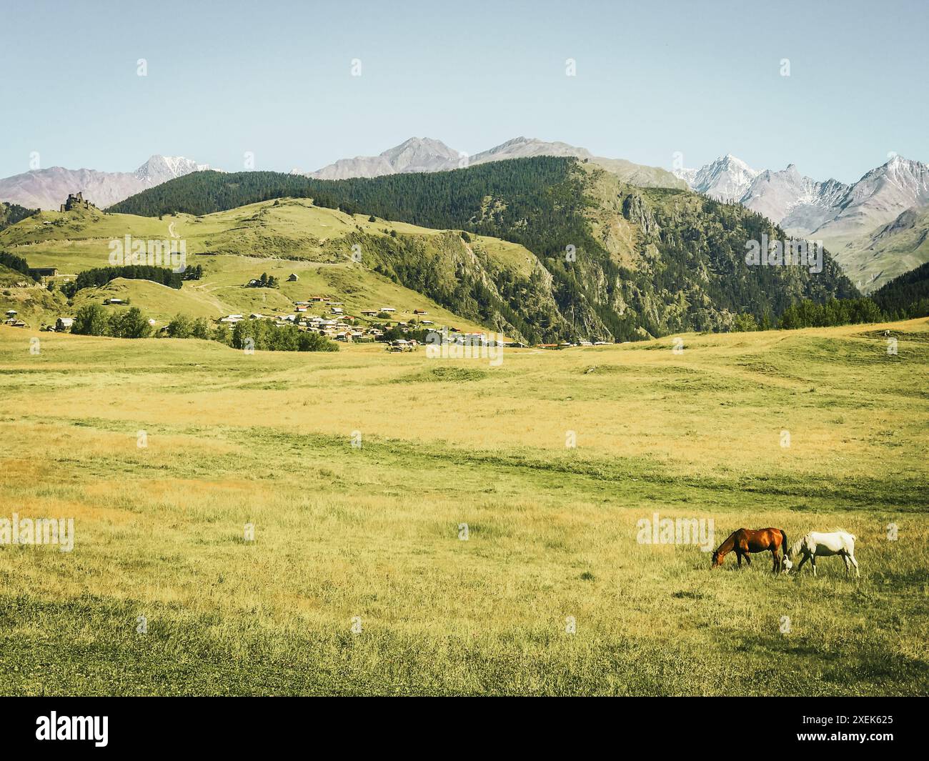 Scenic landscape view upper omalo village in Tusheti with horses ...
