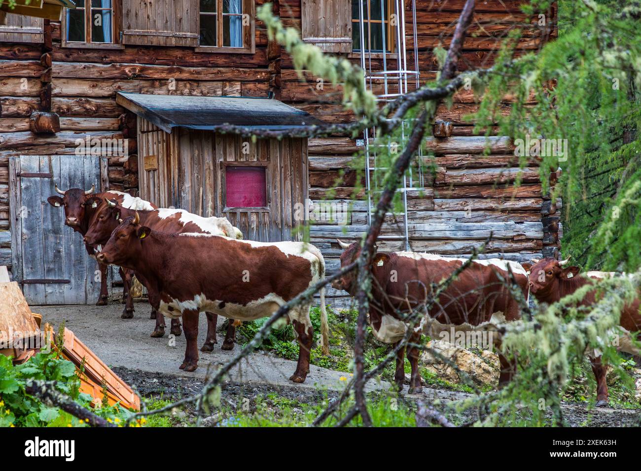 Higher pasture barn farm hi-res stock photography and images - Alamy