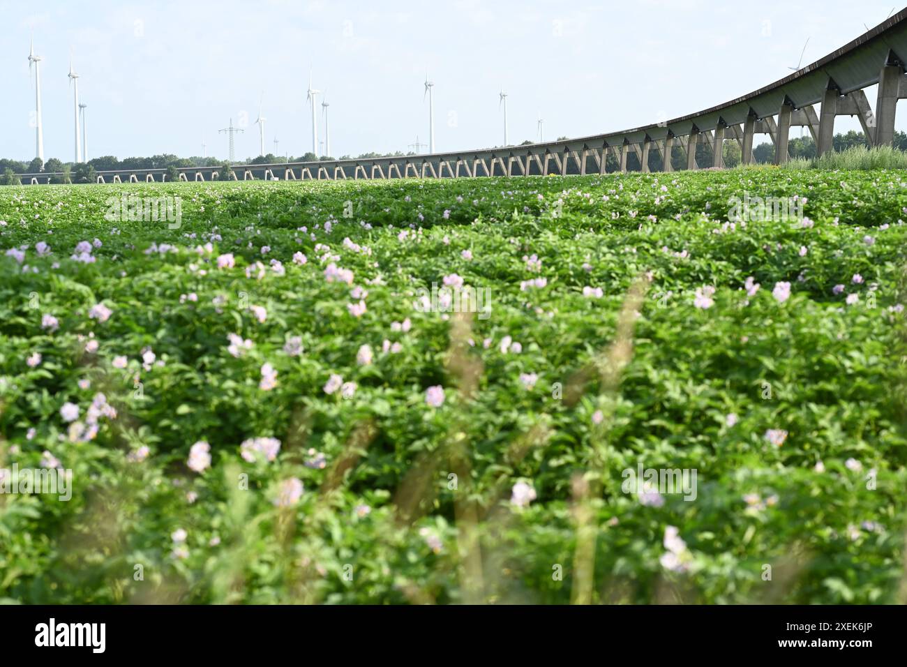 Die Transrapid-Versuchsanlage Emsland TVE Blick auf die stillgelegte ...
