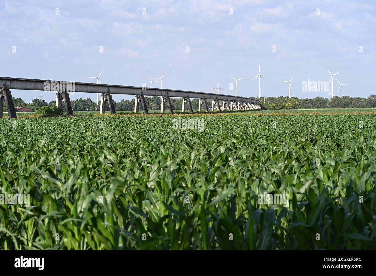 Die Transrapid-Versuchsanlage Emsland TVE Blick auf die stillgelegte ...