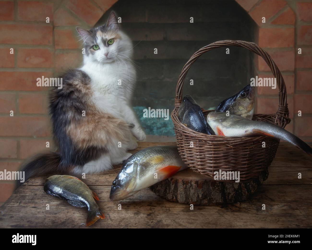 Catch a big fish hi-res stock photography and images - Alamy