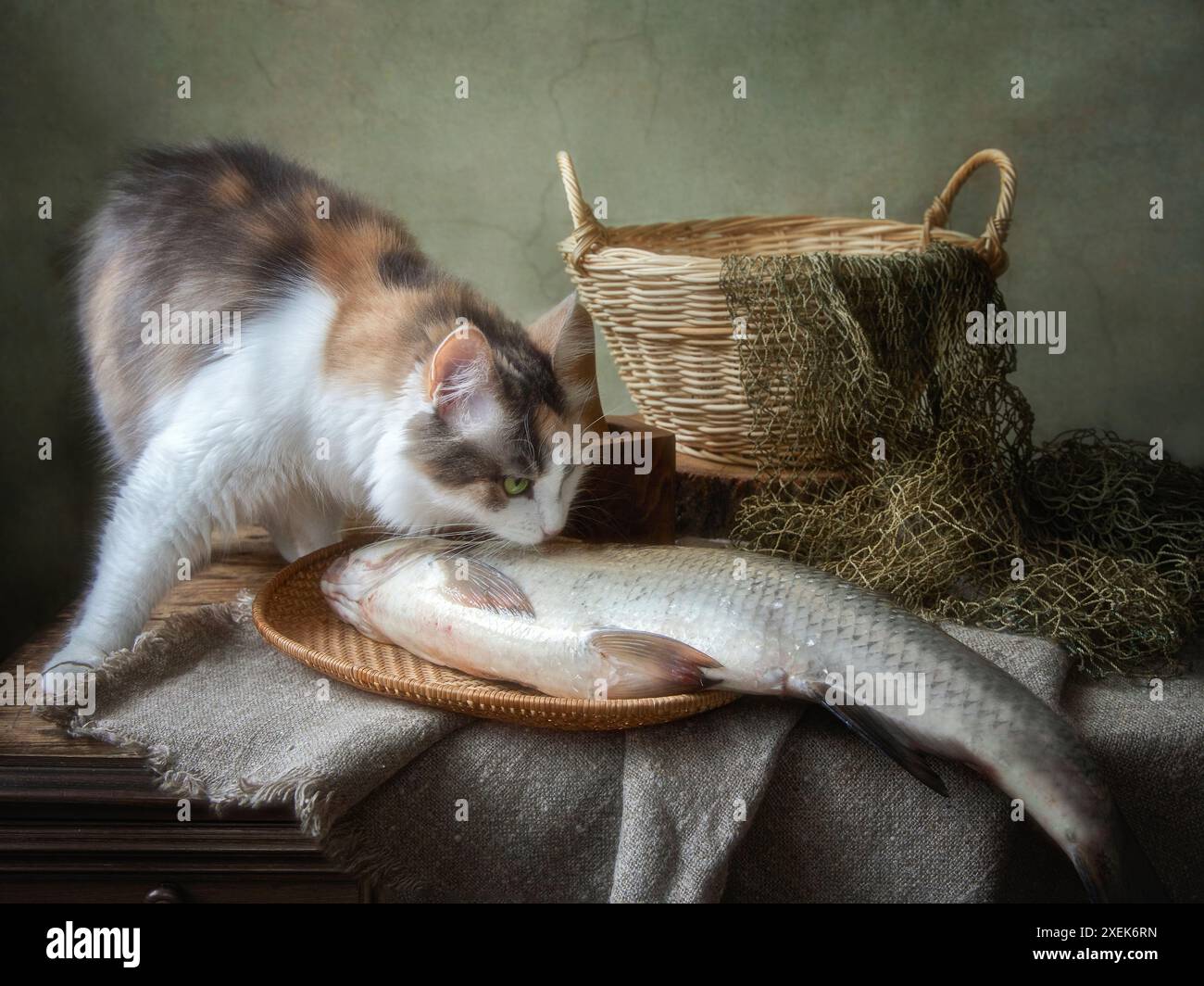 Catch big fish funny hi-res stock photography and images - Alamy