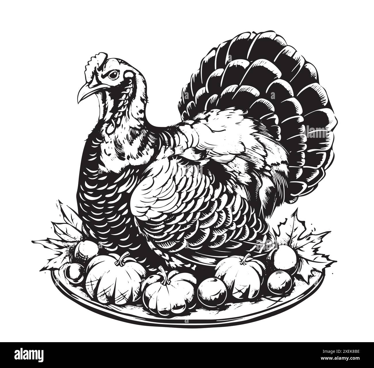 Hand drawn vector illustration of turkey. Isolated on white background ...