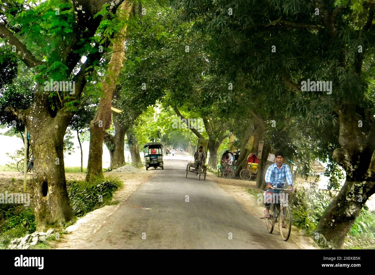 Daily Life. Surrounding of Dhaka. Bangladesh Stock Photo - Alamy