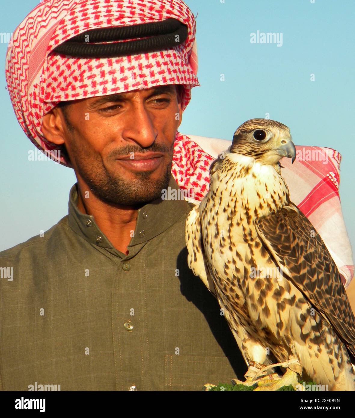 Bedouin With Hawk. Arabian Desert. Saudi Arabia Stock Photo - Alamy