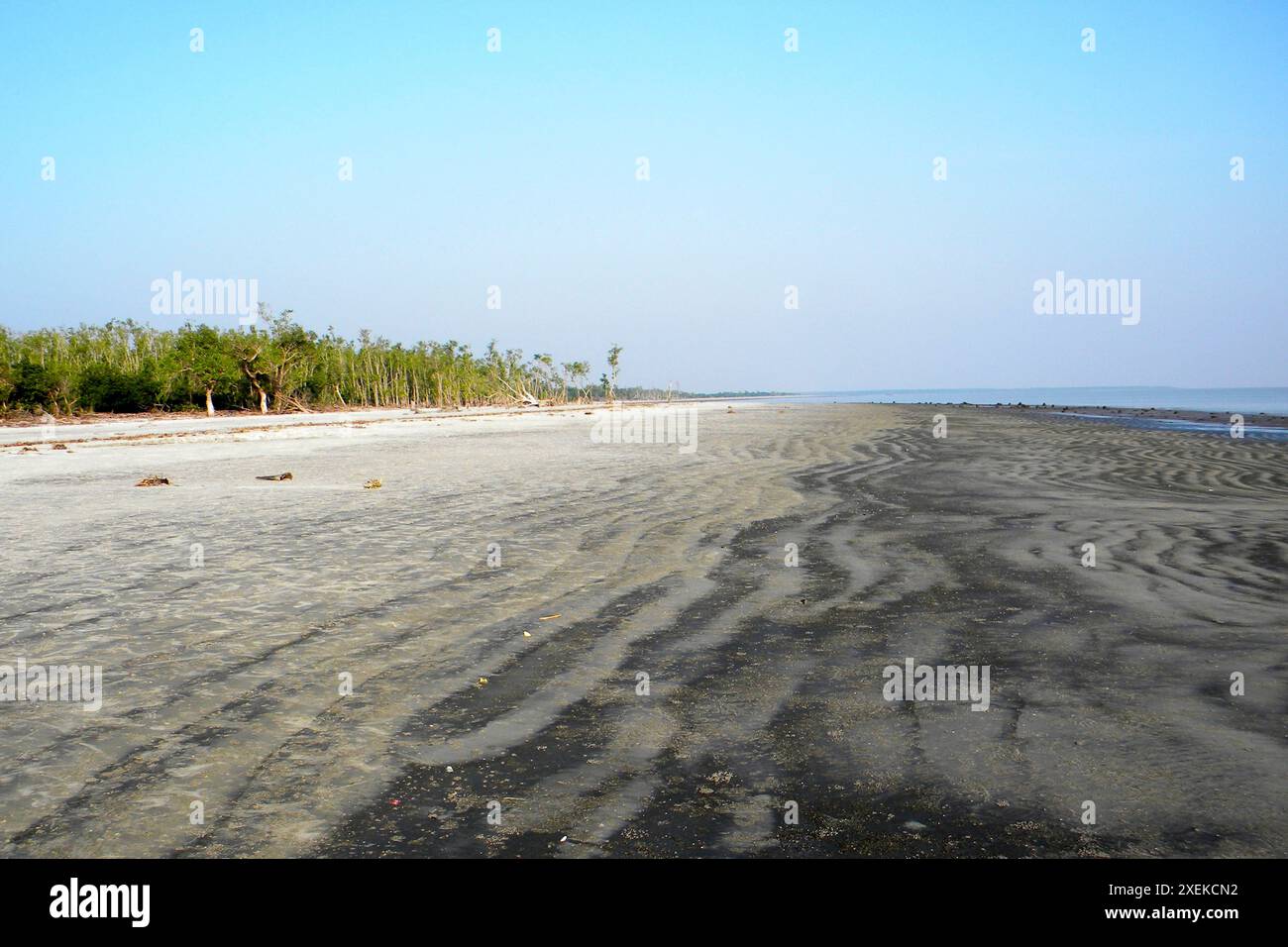 Beach. Sundarbans National Park. Bangladesh Stock Photo - Alamy