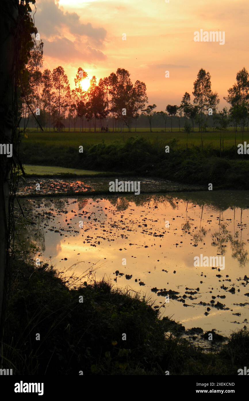 Comilla hi-res stock photography and images - Alamy