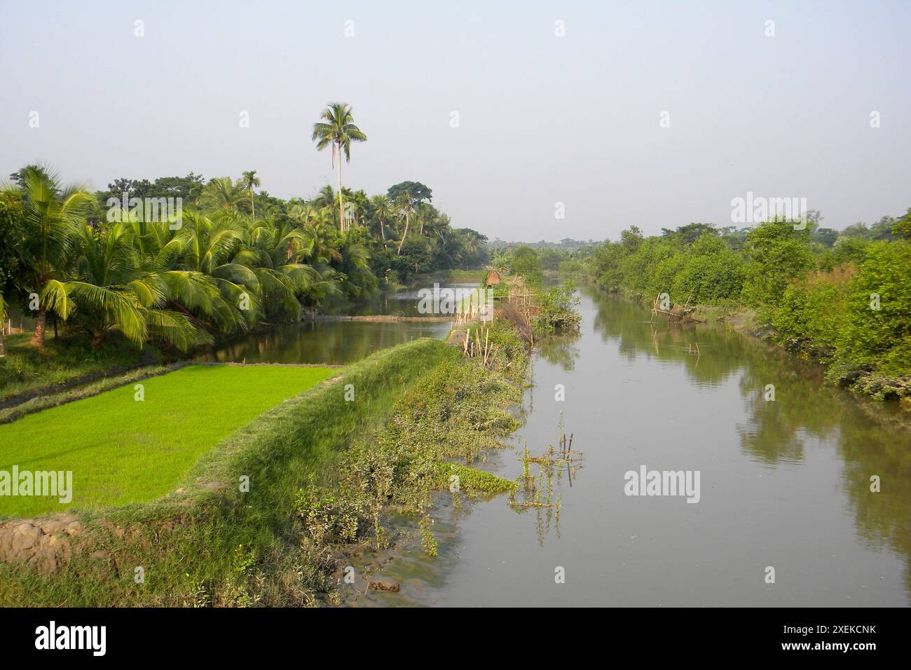 Destination bangladesh hi-res stock photography and images - Alamy