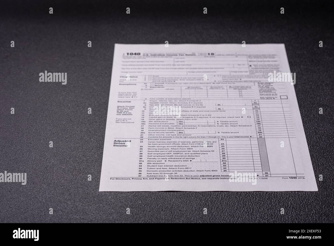 Fill out US tax form 1040 for verification and refund. Tax reporting of ...