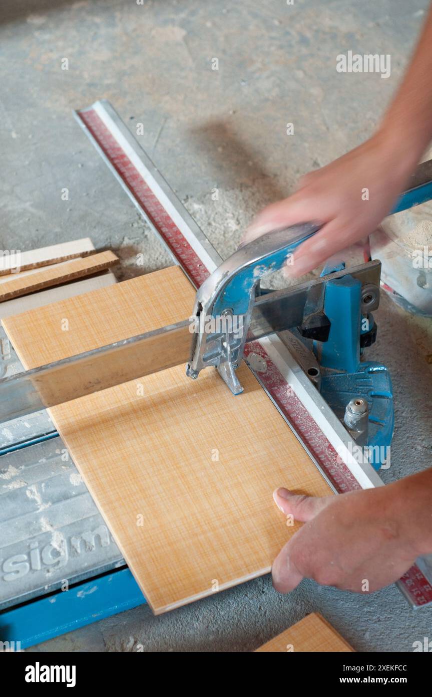 Hand Holding Tile in Tile Cutter Stock Photo - Alamy