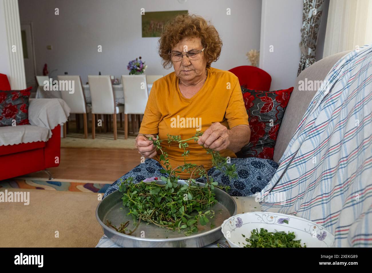 Old Turkish woman cooking. Preparation for a purslane dish Stock Photo ...