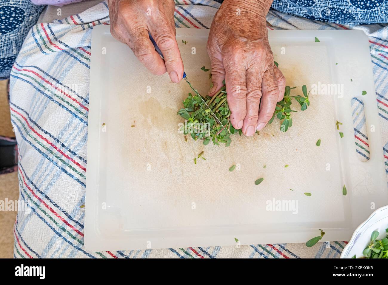 Old Turkish woman cooking. Preparation for a purslane dish Stock Photo ...