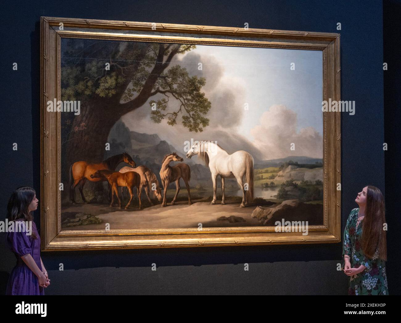 George stubbs celebrated mares and foals painting hi-res stock ...