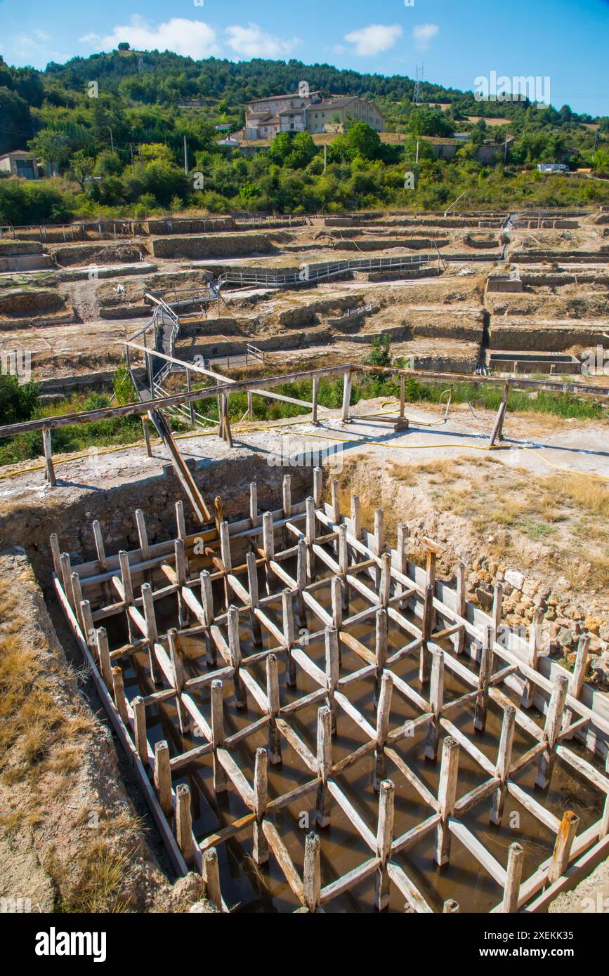 Estructura de madera vertical hi-res stock photography and images - Alamy