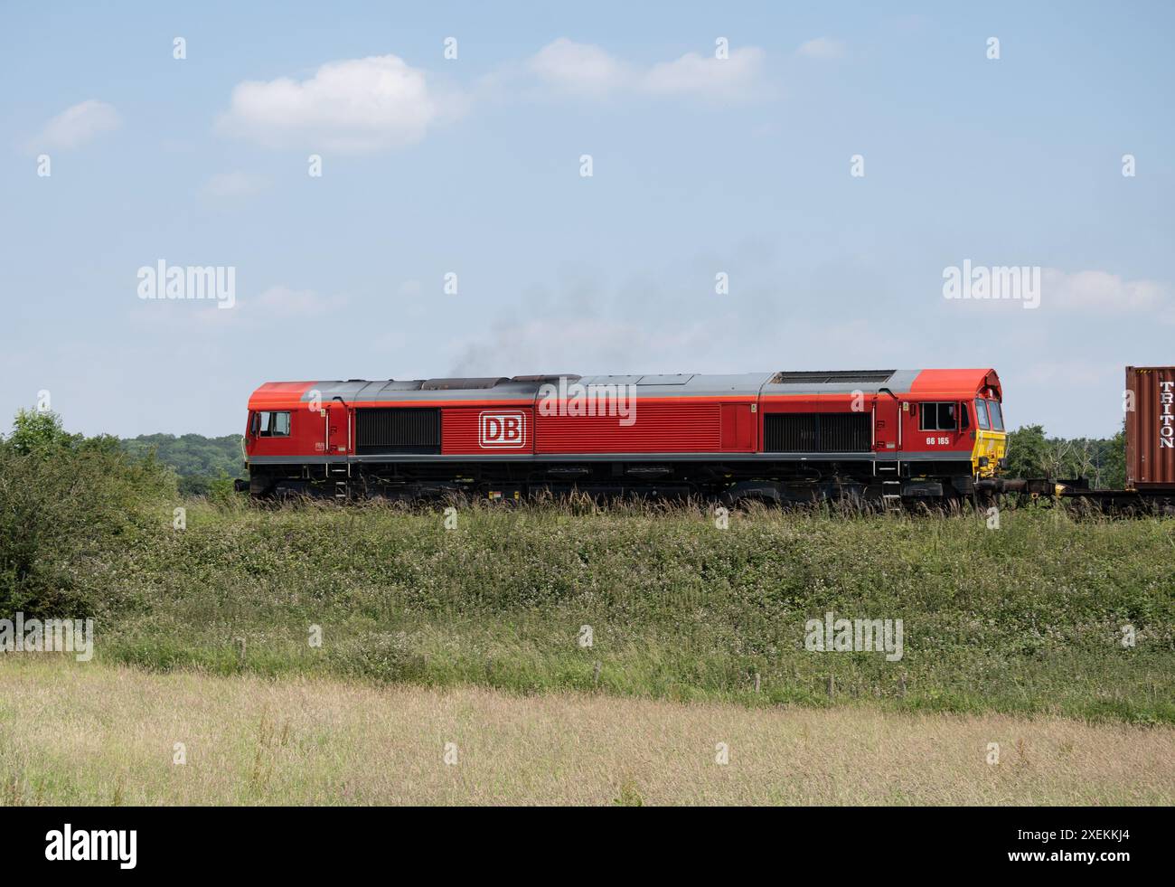 DB class 66 diesel locomotive pulling a freightliner train ...