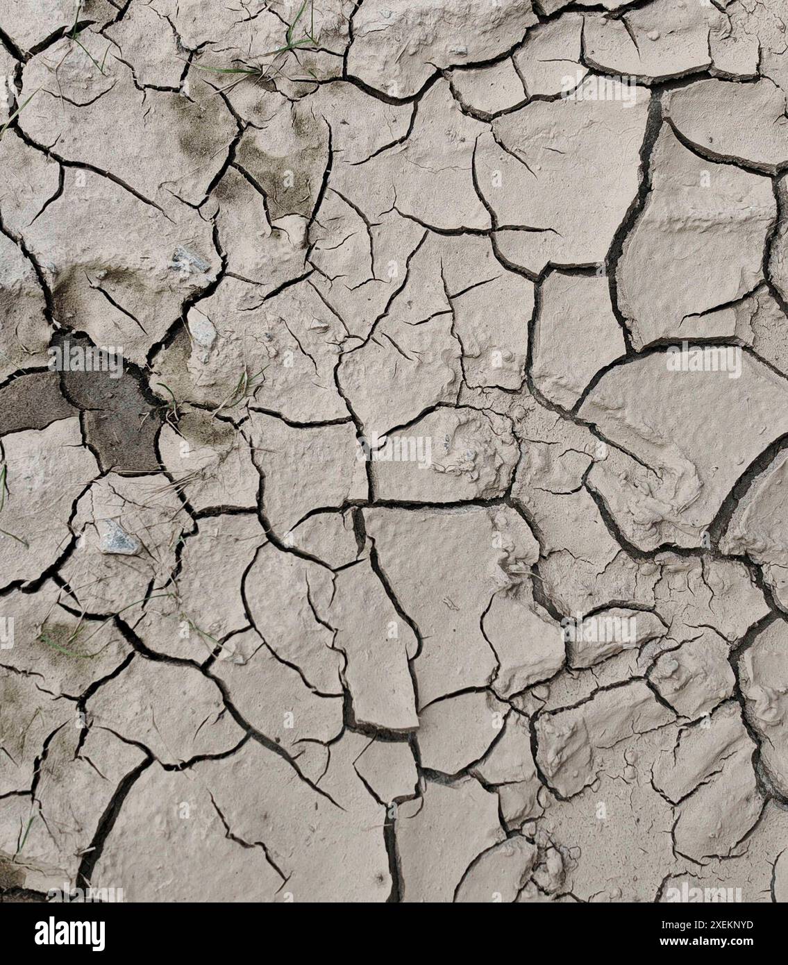 global warming and climate change effecting the environment and weather ...