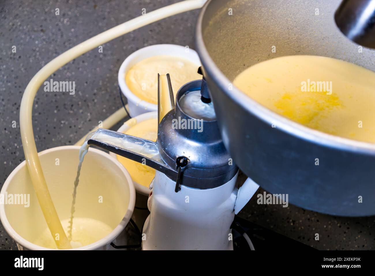 In farmer Bettina Huber's dairy on the Promegghof farm in ...