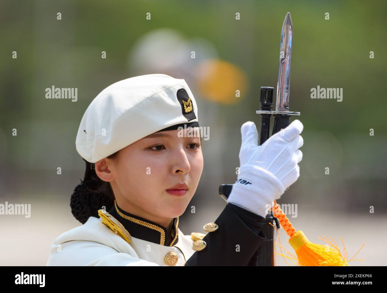 Martial arts in the military hi-res stock photography and images - Alamy