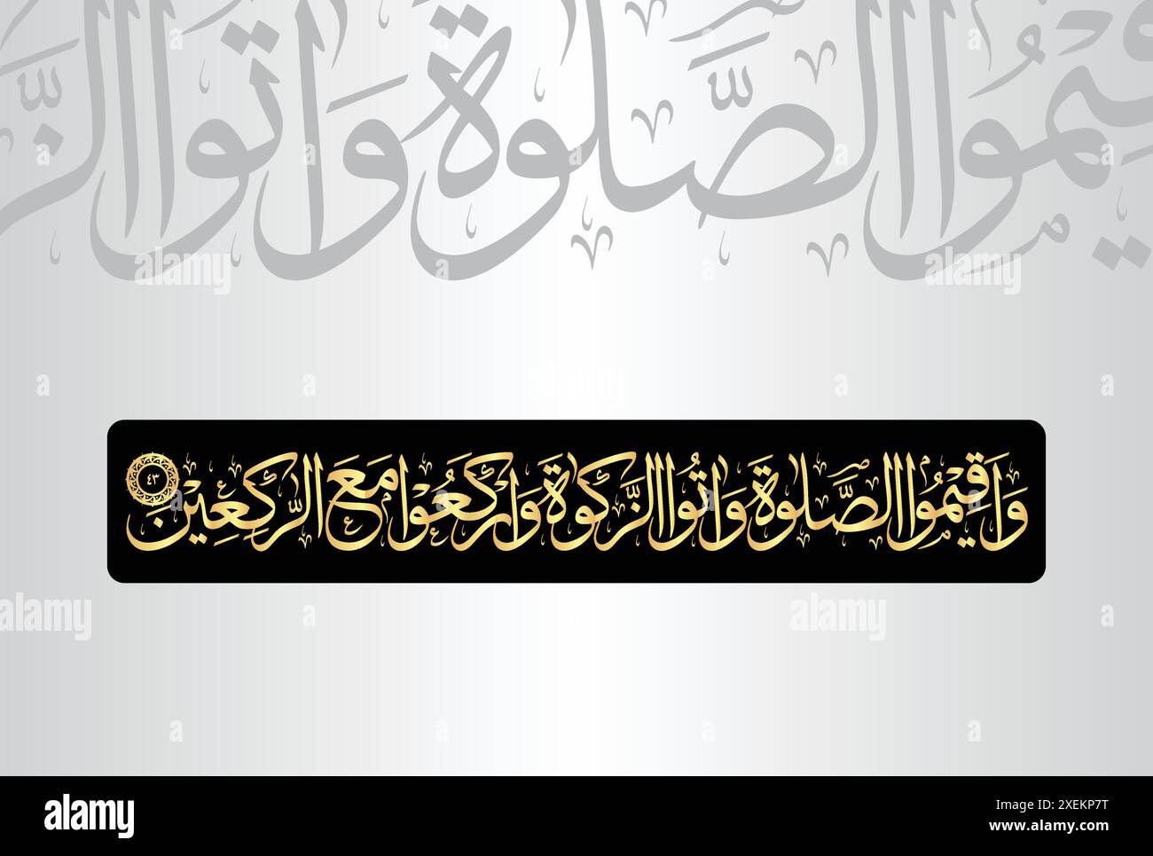 Wa aqimus salata wa'atuz zakata warkao maarrakiin. Arabic Calligraphy ...