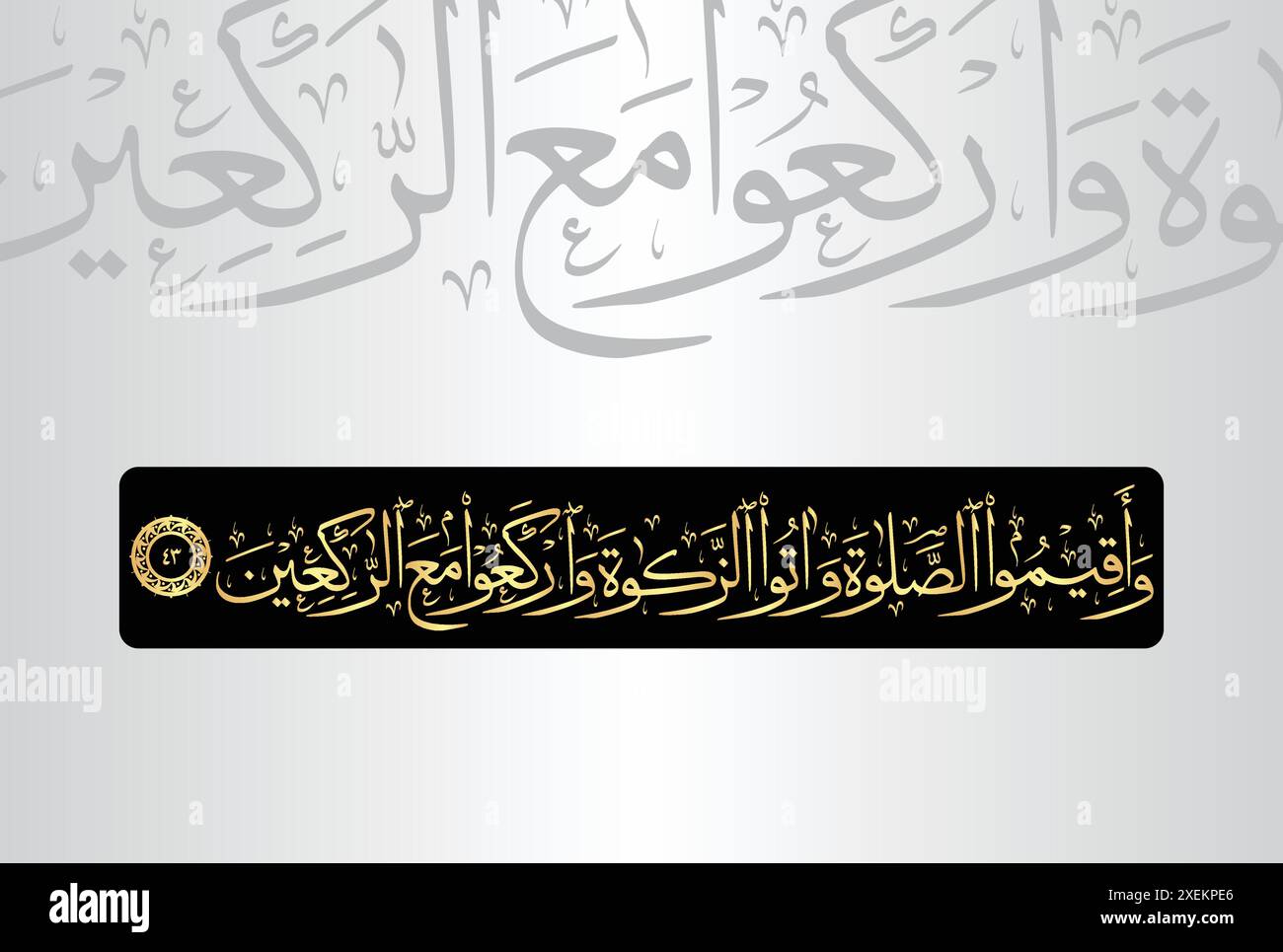 Wa aqimus salata wa'atuz zakata warkao maarrakiin. Arabic Calligraphy ...