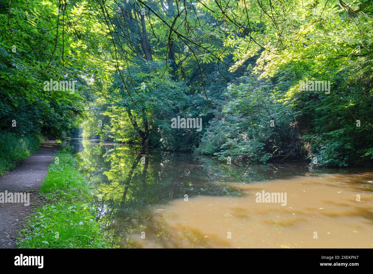 Canal Footpath with the sun reflecting off the water Stock Photo - Alamy