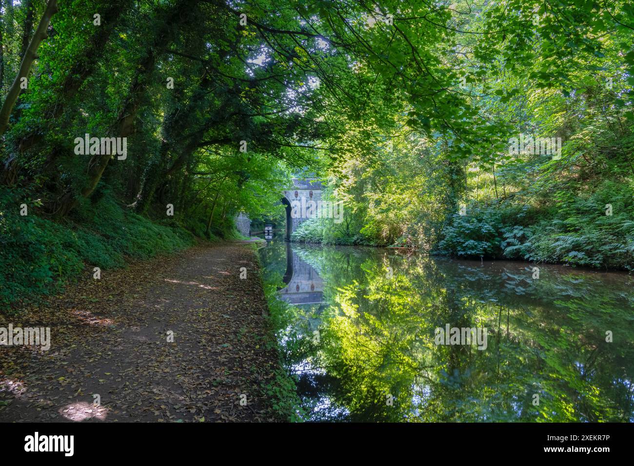 Canal towpath with a bridge and perfect reflections Stock Photo - Alamy