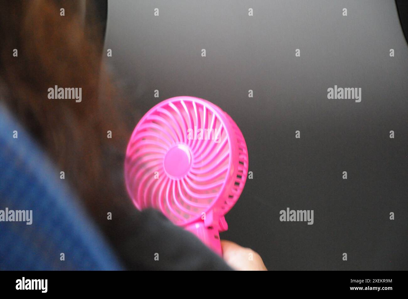 Copenhagen/ Denmark/28 JUNE 2024/Denmark's weather hot summer day in ...