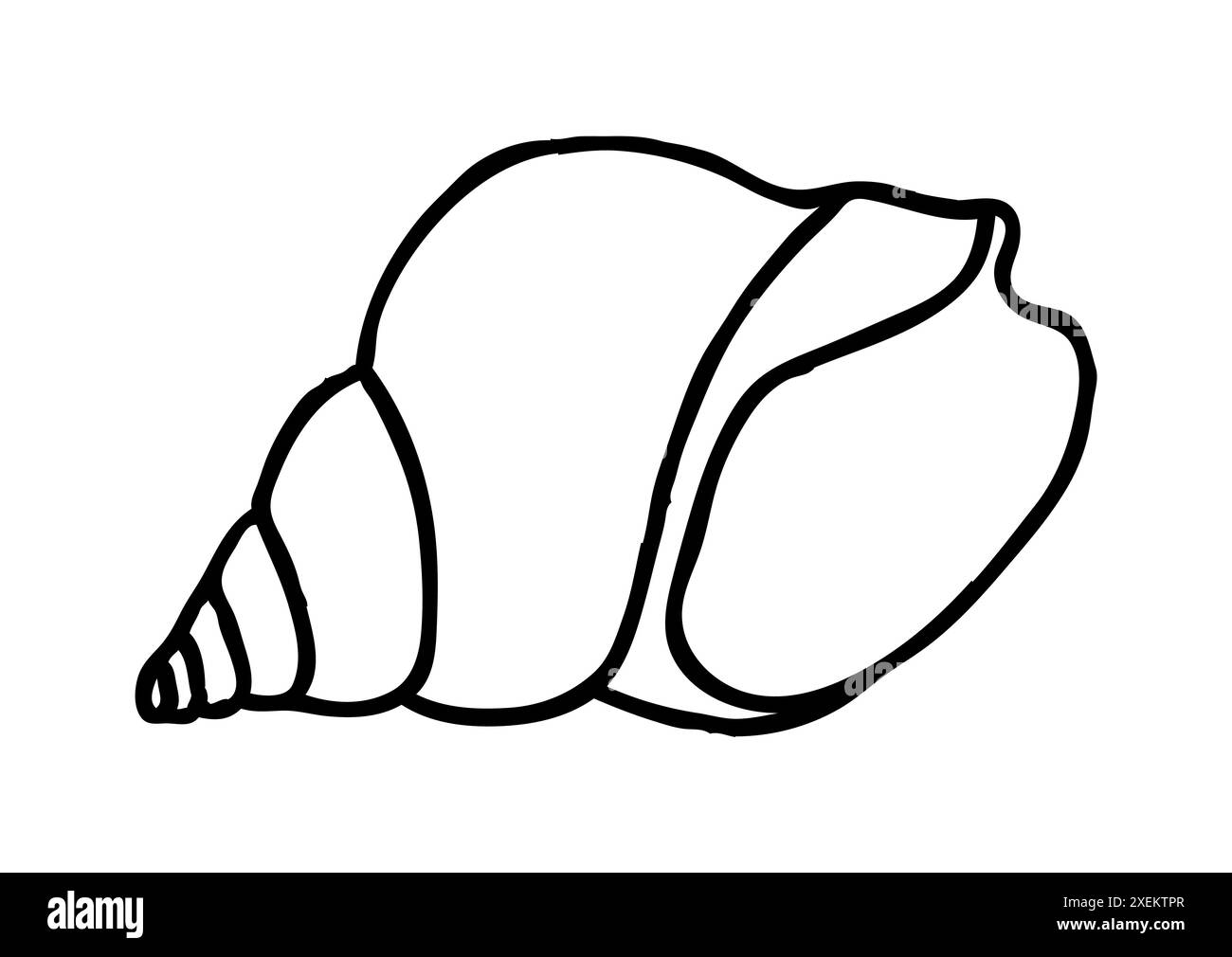 Pearl in seashell Black and White Stock Photos & Images - Alamy