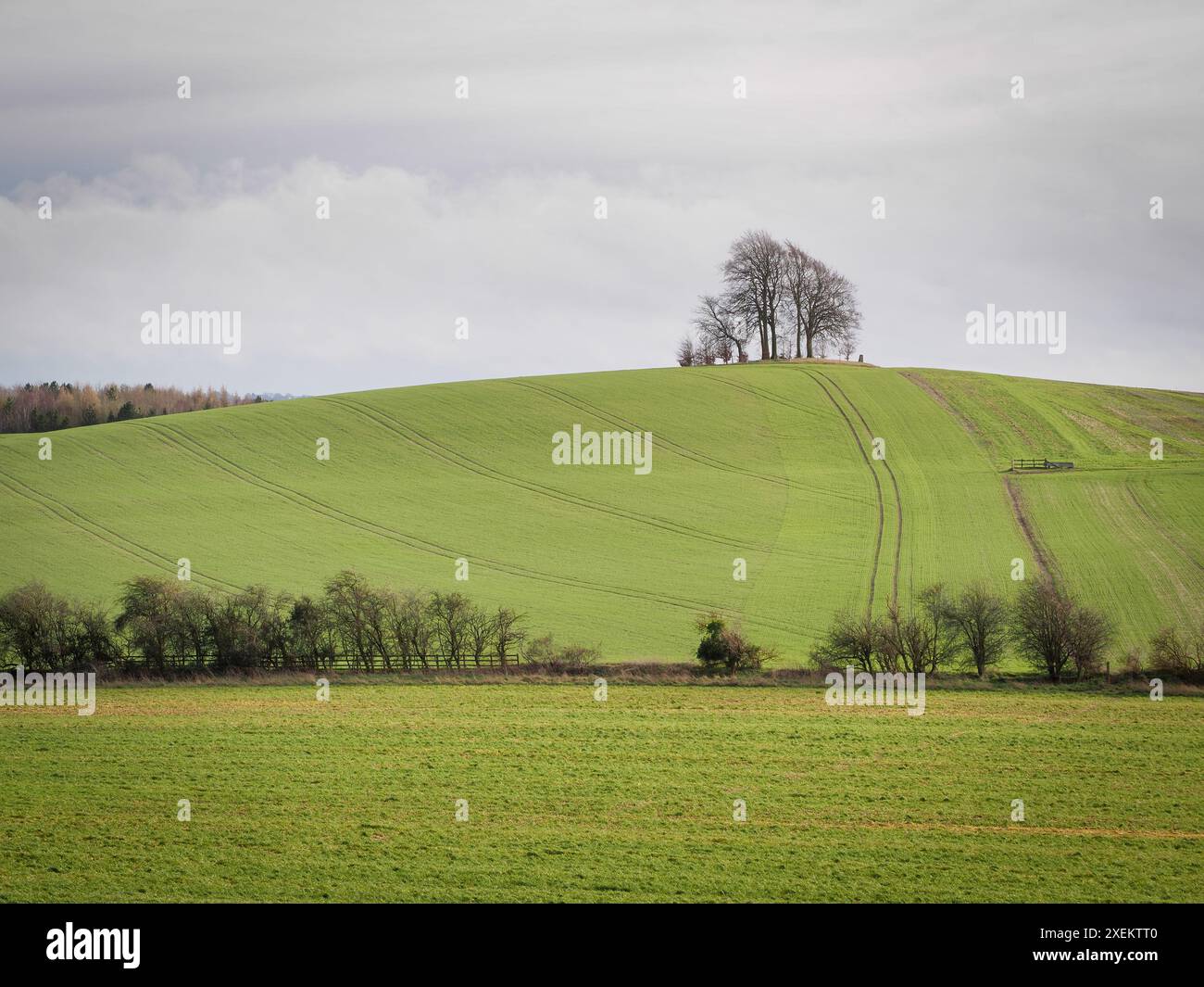 View from Castle Hill to Brightwell Barrow, Bronze Age round barrow ...