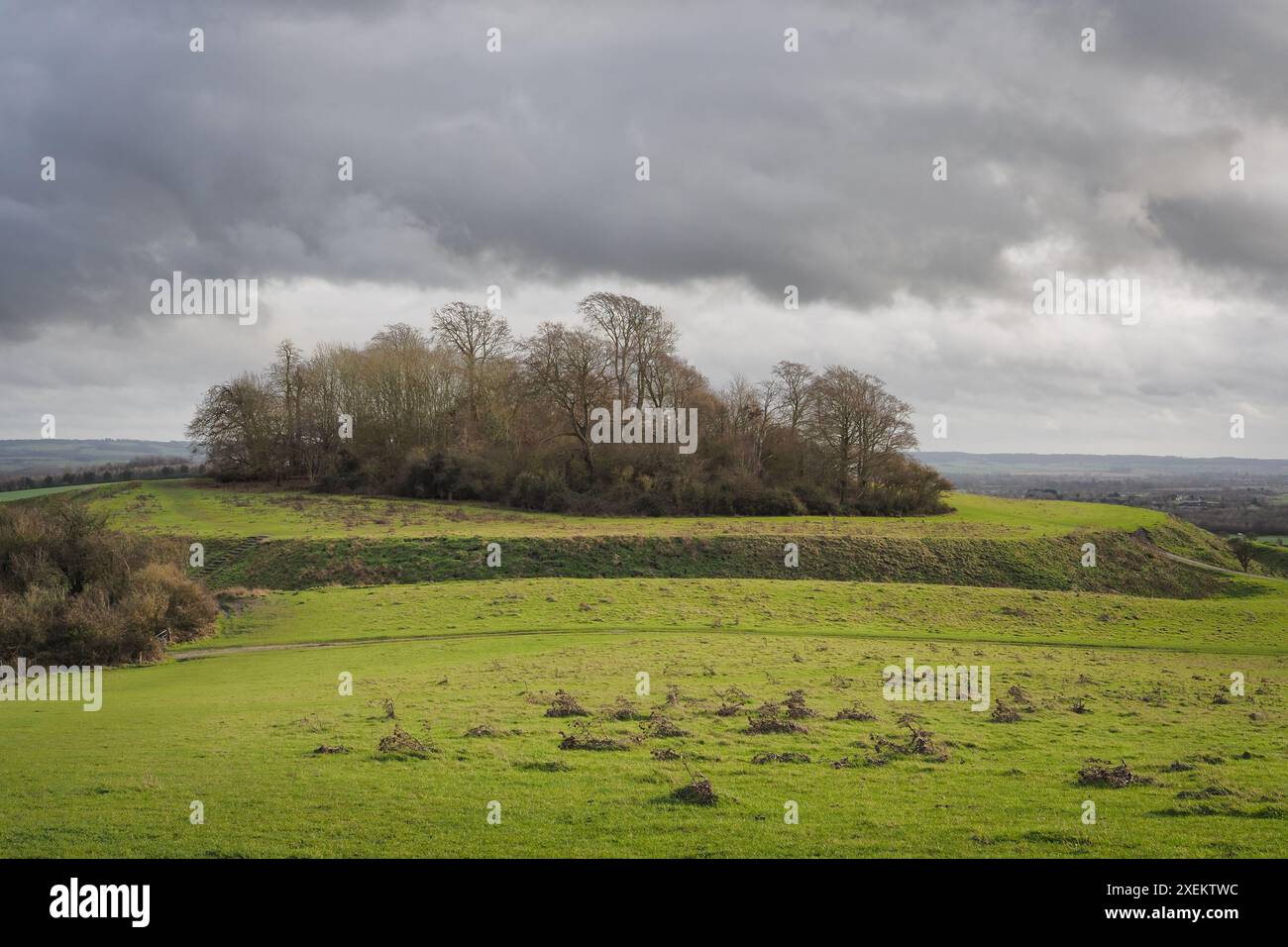 View from Round Hill to hill fort on Castle Hill, Wittenham Clumps ...